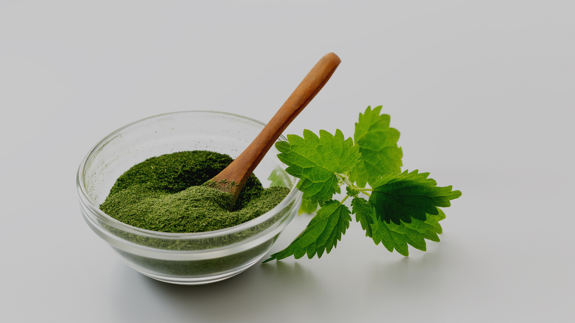 Dried Nettles | Nature Friendly Food| UK Home Delivery